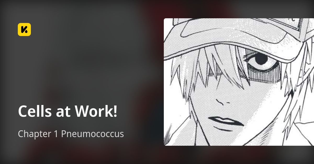 Chapter 1 Pneumococcus • Cells at Work!