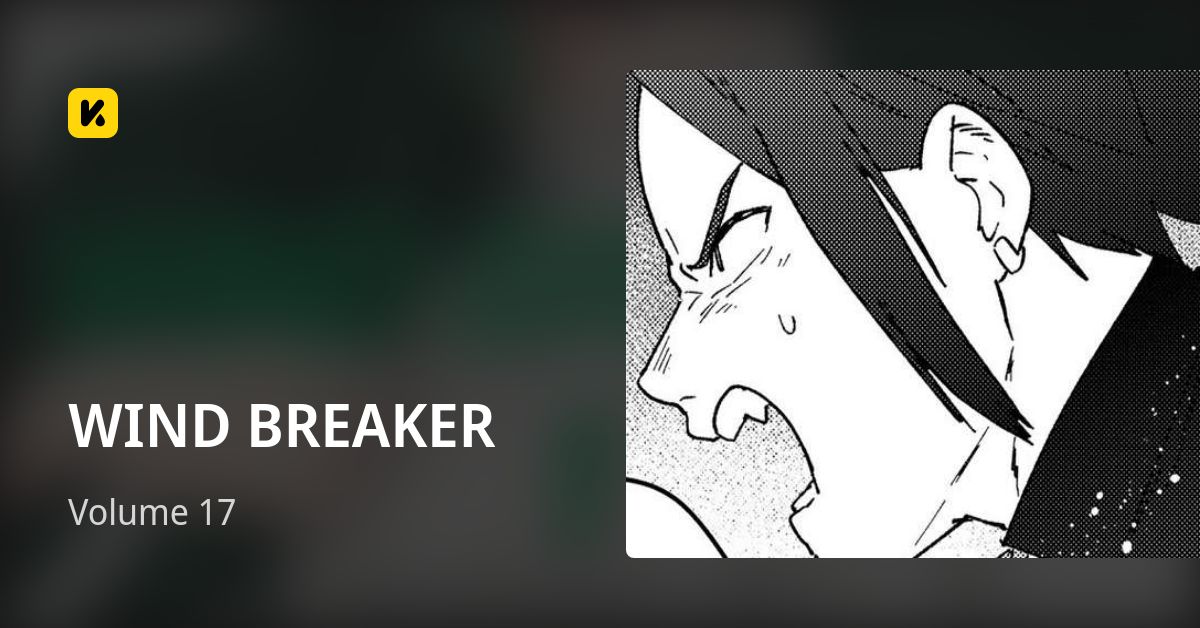 Volume 17 • WIND BREAKER